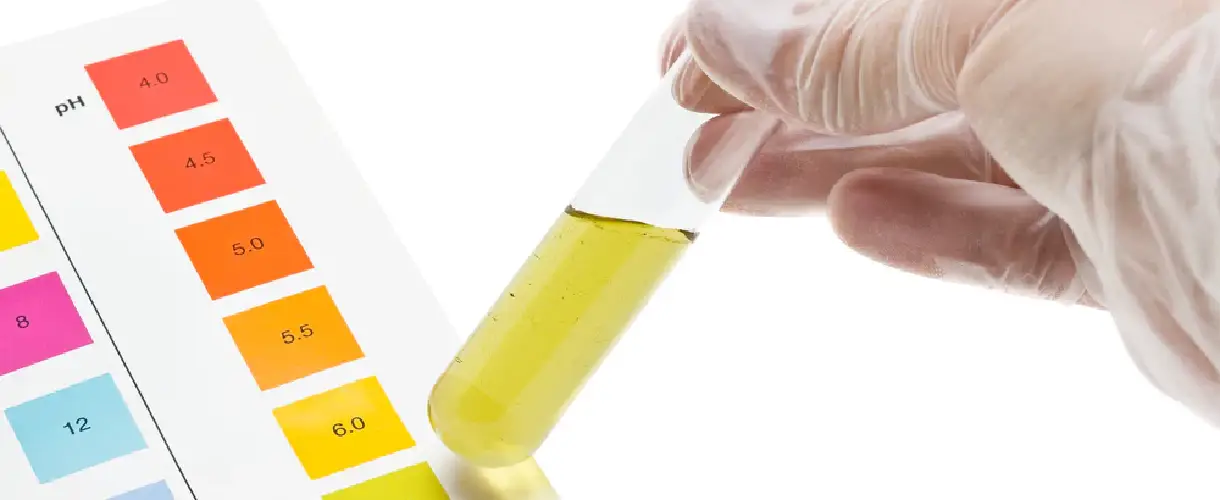 pH & Cleaning: How to Select the Right Chemical for Your Surface