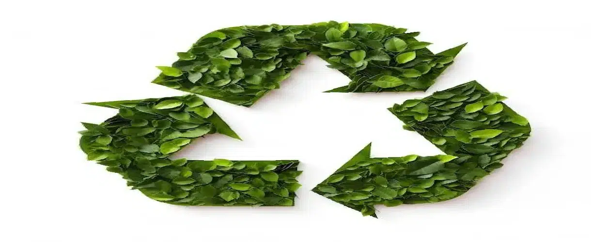 New Trends in Eco-Friendly Surface Coating Chemistries